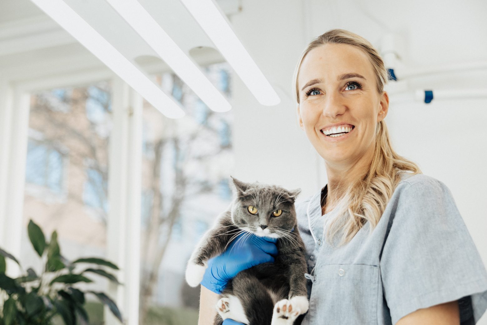 How to choose perfect veterinary lighting | D-TEC